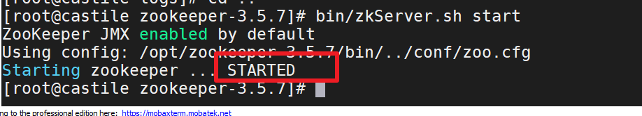 ZooKeeper集群安装 | Castile