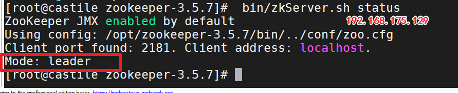 ZooKeeper集群安装 | Castile
