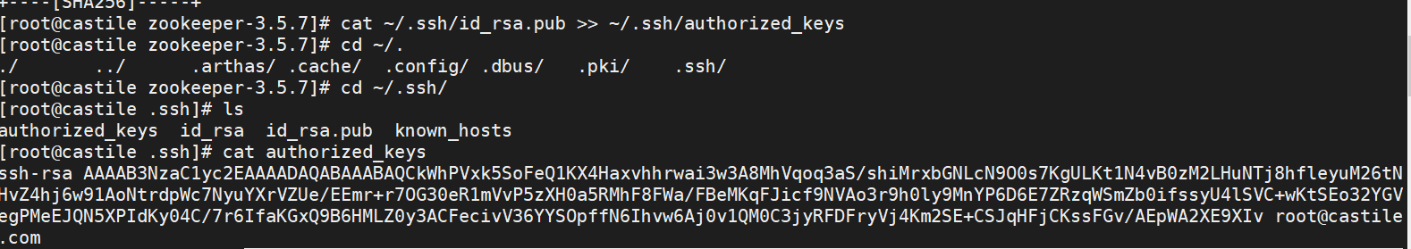 ZooKeeper集群安装 | Castile
